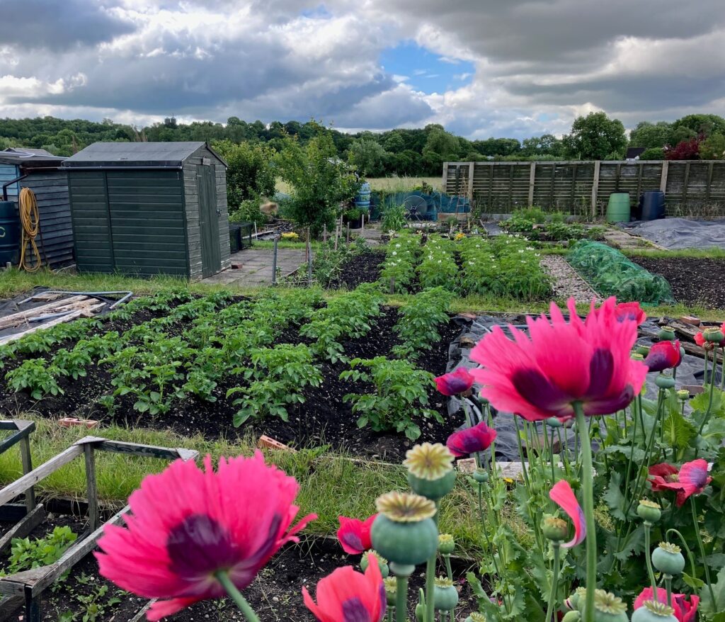 News | Alcester Town Council